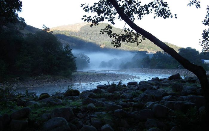 Media - Red Squirrel Campsite