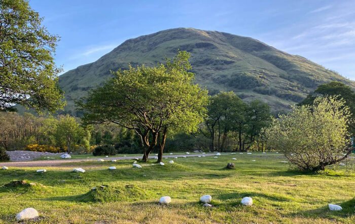 Media - Red Squirrel Campsite